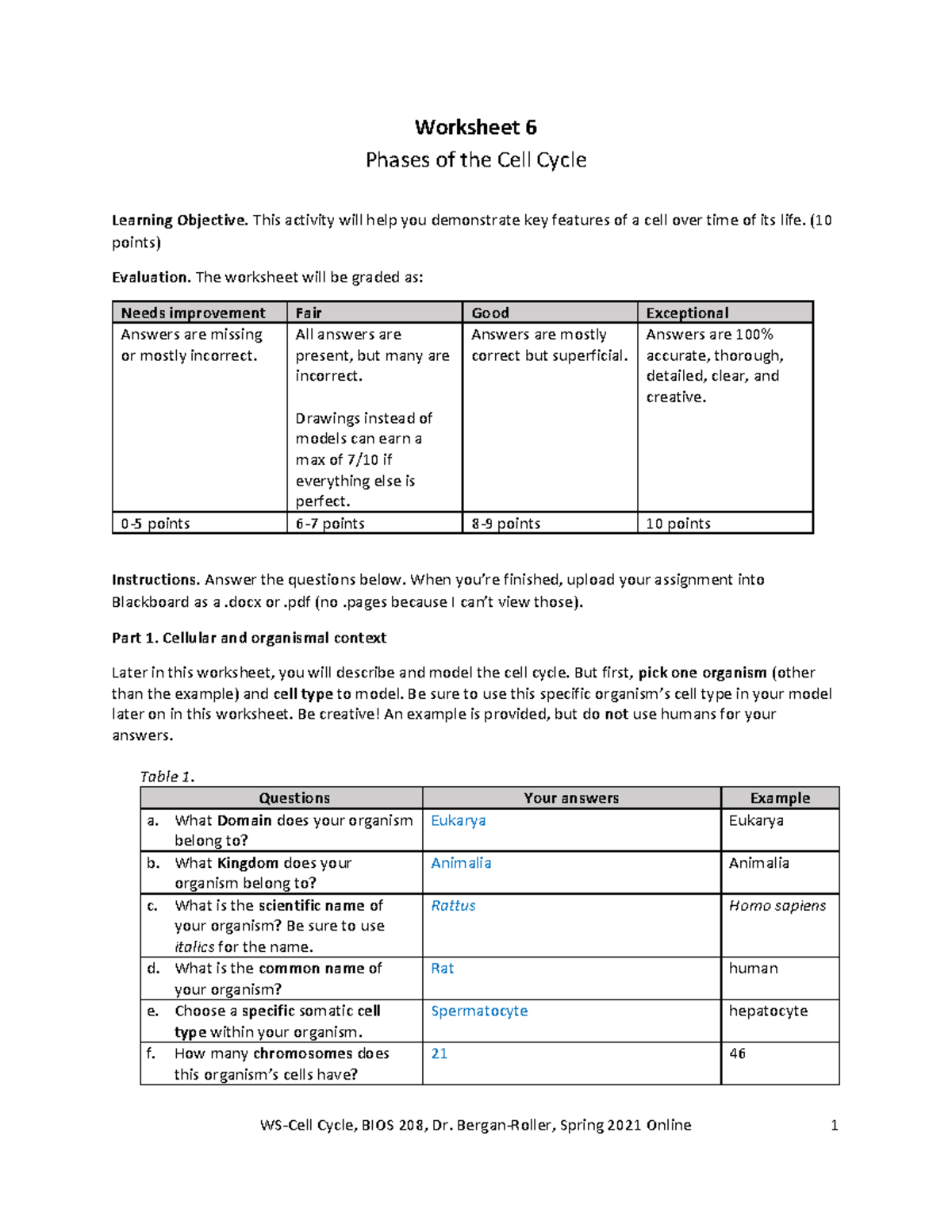 Worksheet 6 Phases of the Cell Cycle - Studocu
