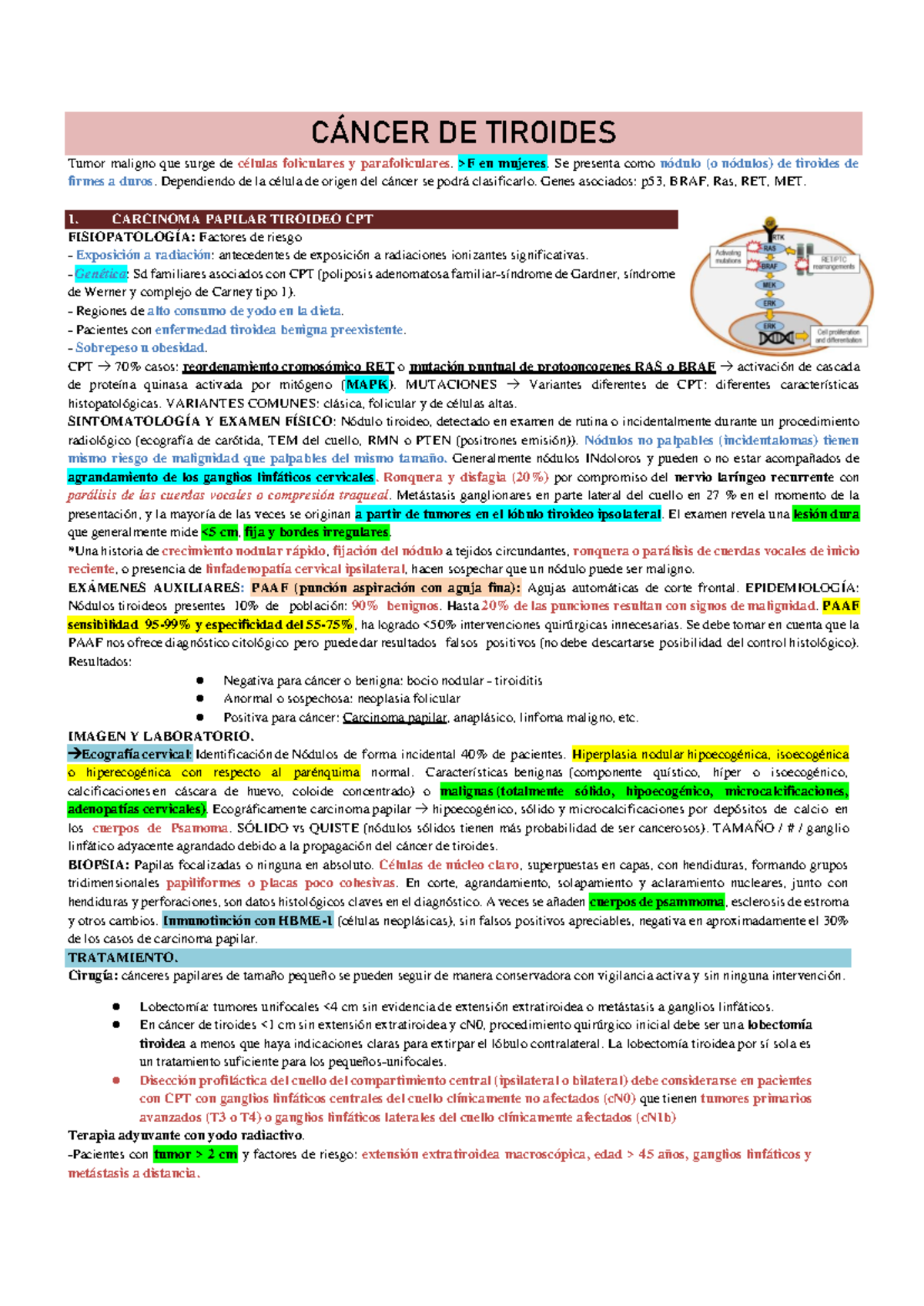 Cancer de Tiroides - C¡NCER DE TIROIDES Tumor maligno que surge de células foliculares y - Studocu