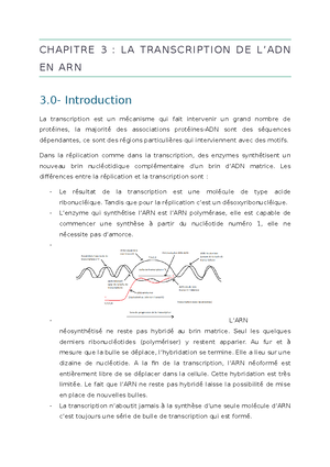 9 TD juin2013 - annales exam biologie moléculaire 1 - Biologie ...