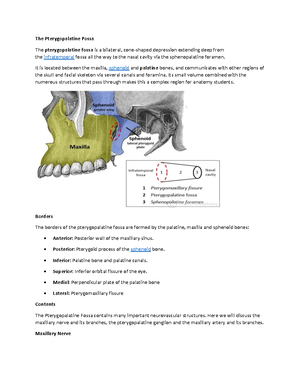 UJ Assessments - Test 1 Test 2 Test 3 Test 4 Test 5 Test 6 APK APK ...
