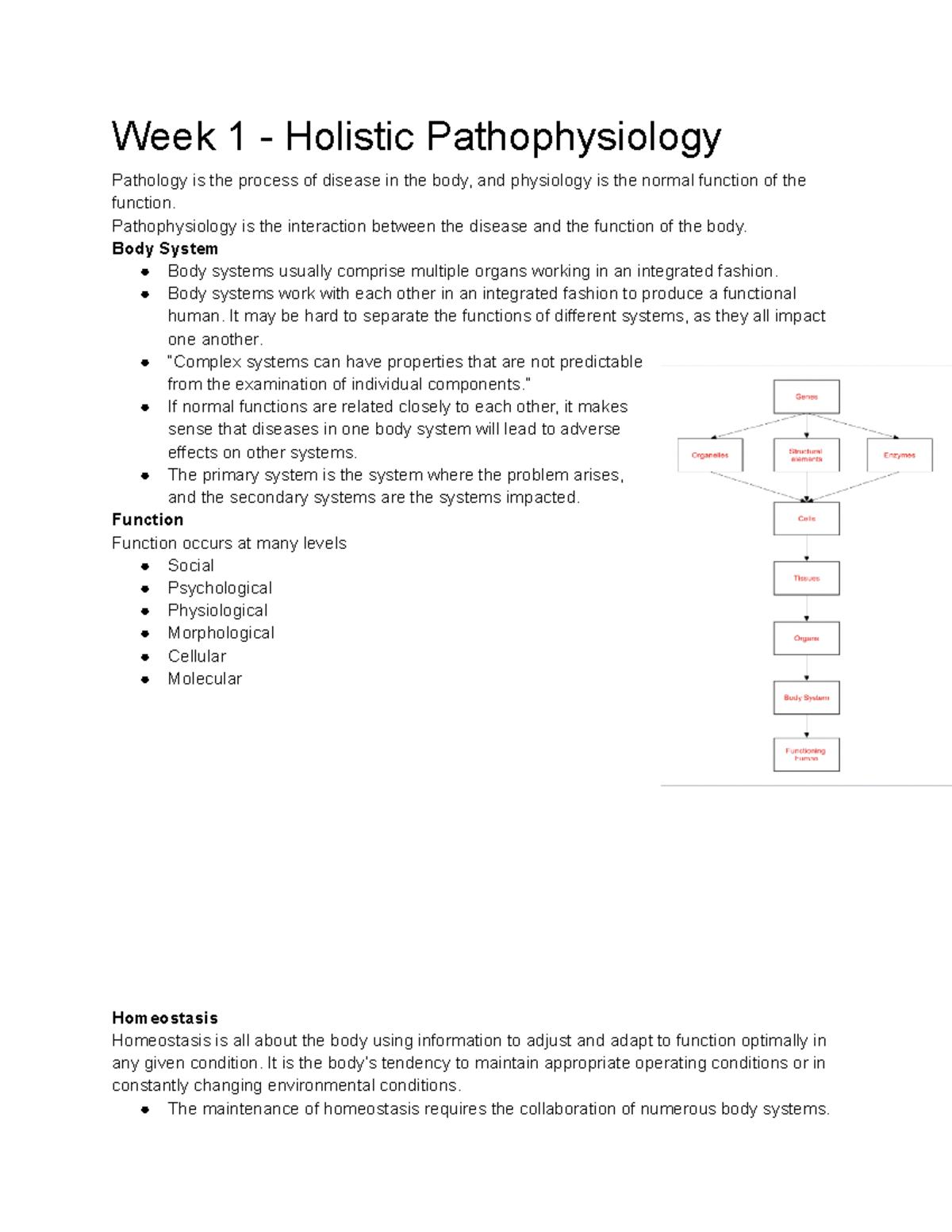 Body Systems - Occupational therapy course notes - Week 1 - Holistic ...