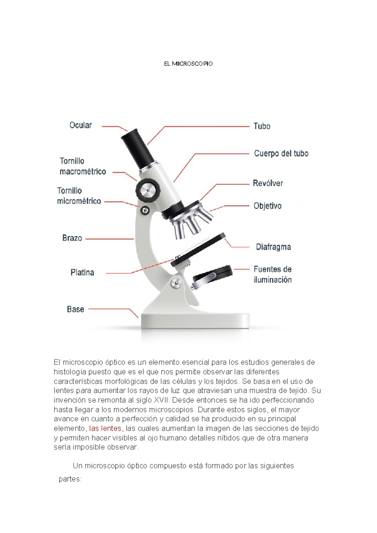 EL Microscopio - EL MICROSCOPIO El microscopio óptico es un elemento ...