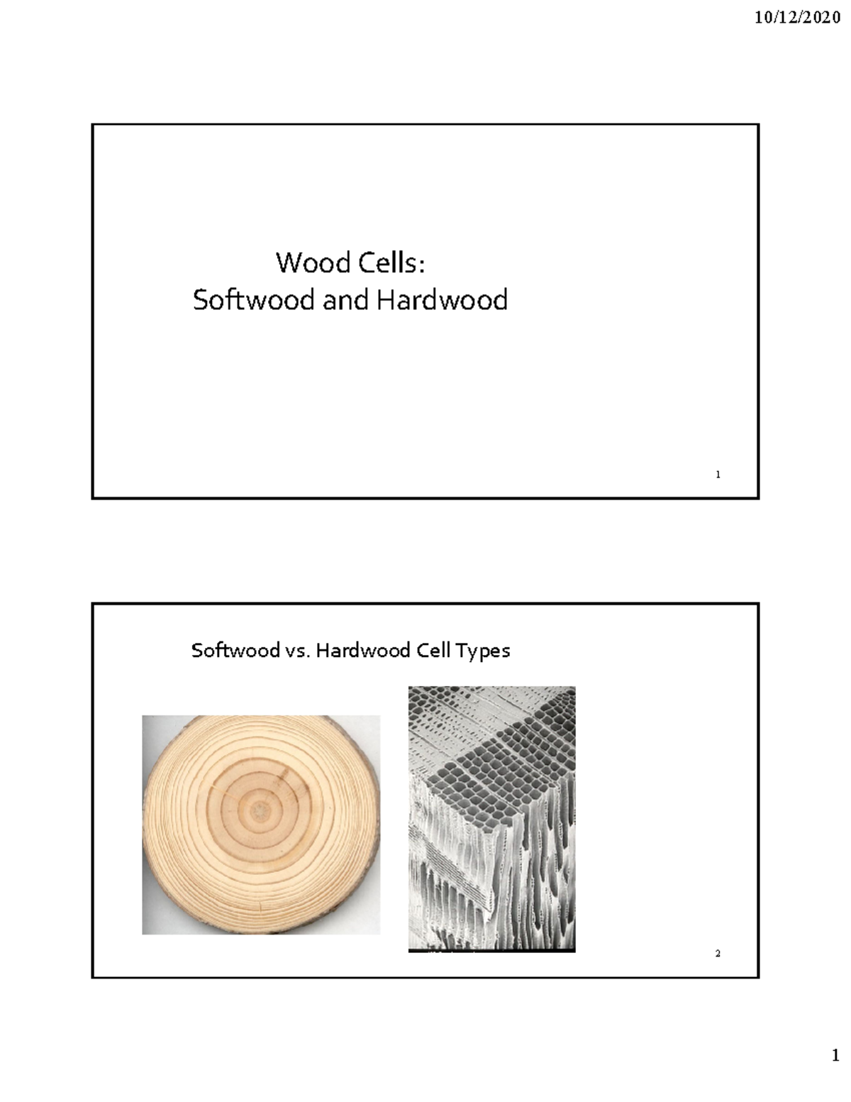 02 03 wood cells softwood and hardwood No Practice Qs 202010 09 - Wood ...