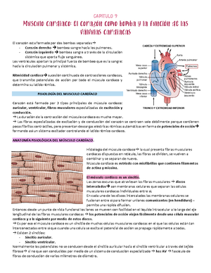 rol de las endotelinas en la patología vascular - Endothelial ...