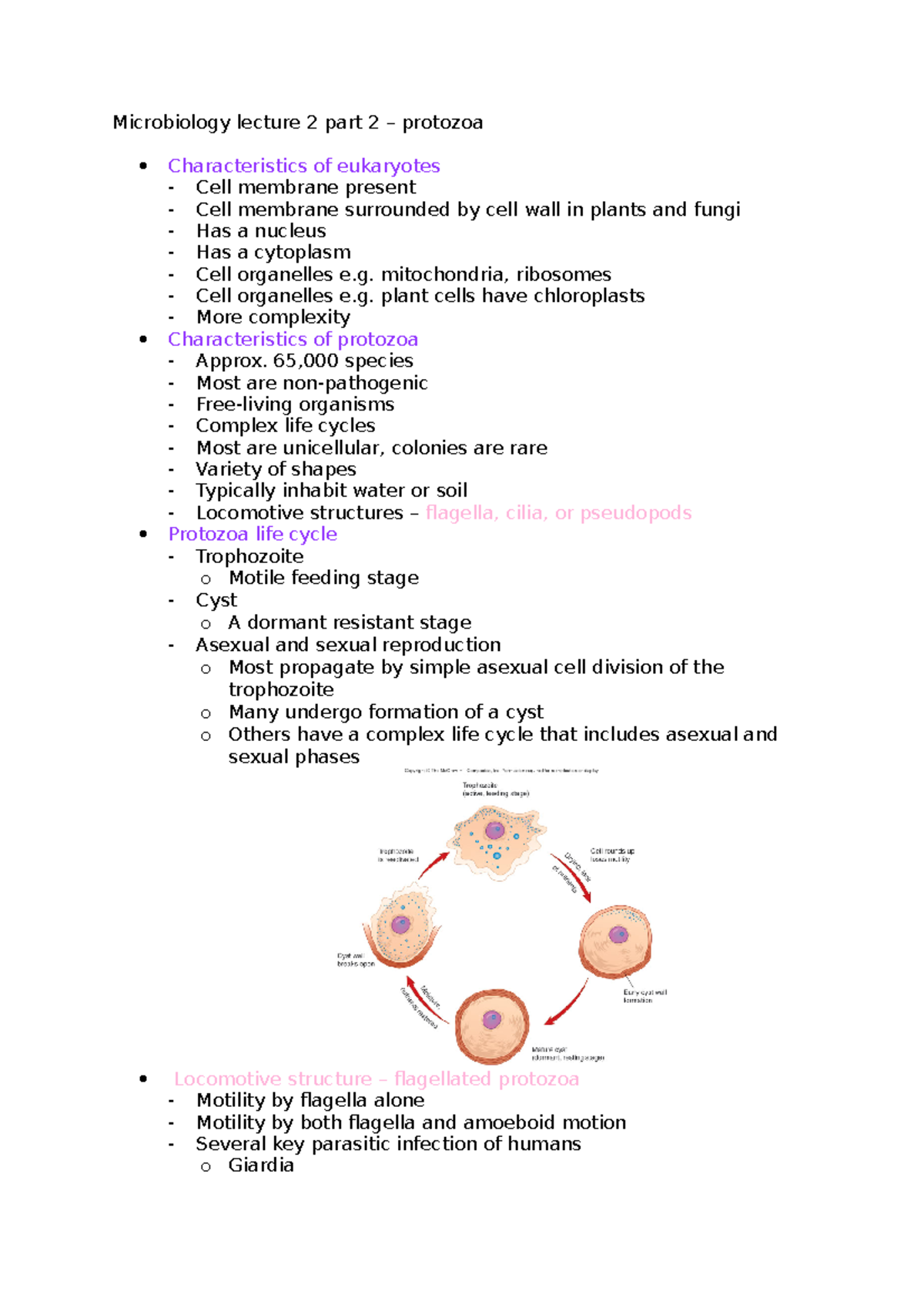 Microbiology lecture 2 part 2 - Microbiology lecture 2 part 2 ...
