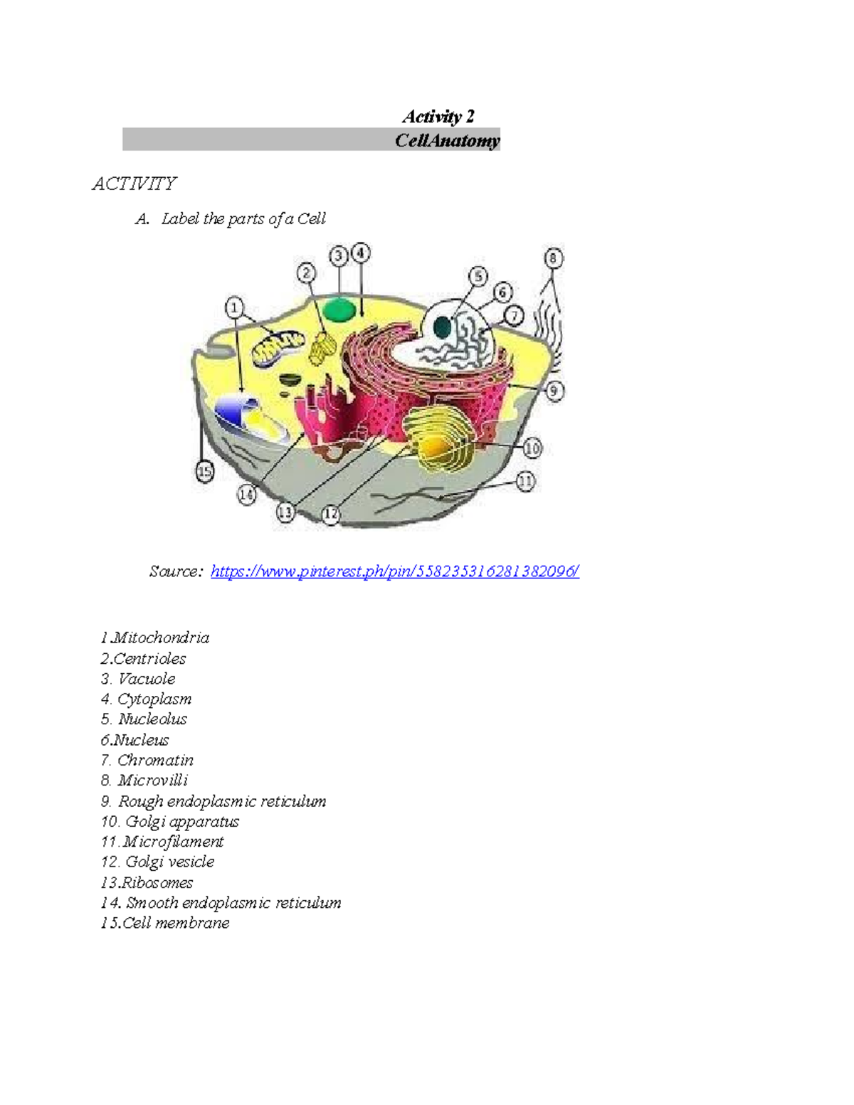 Anatomy and Physiology Laboratory Assignment 3 Cell anatomy - Activity ...