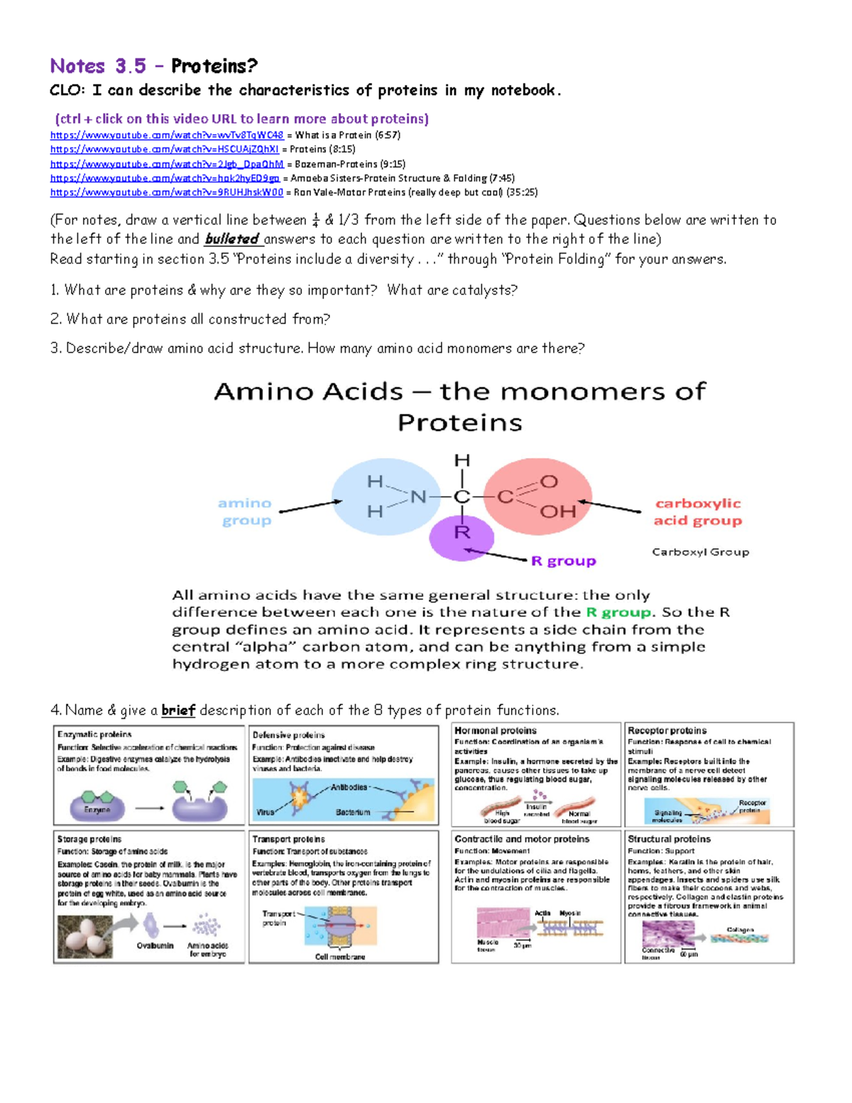 Notes 3.5 Proteins - Notes 3 – Proteins? CLO: I can describe the ...