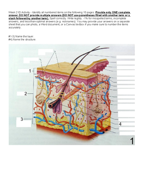 Chapter 1 Post Lab Assignment (Orientation to the Human Body) - Chapter ...