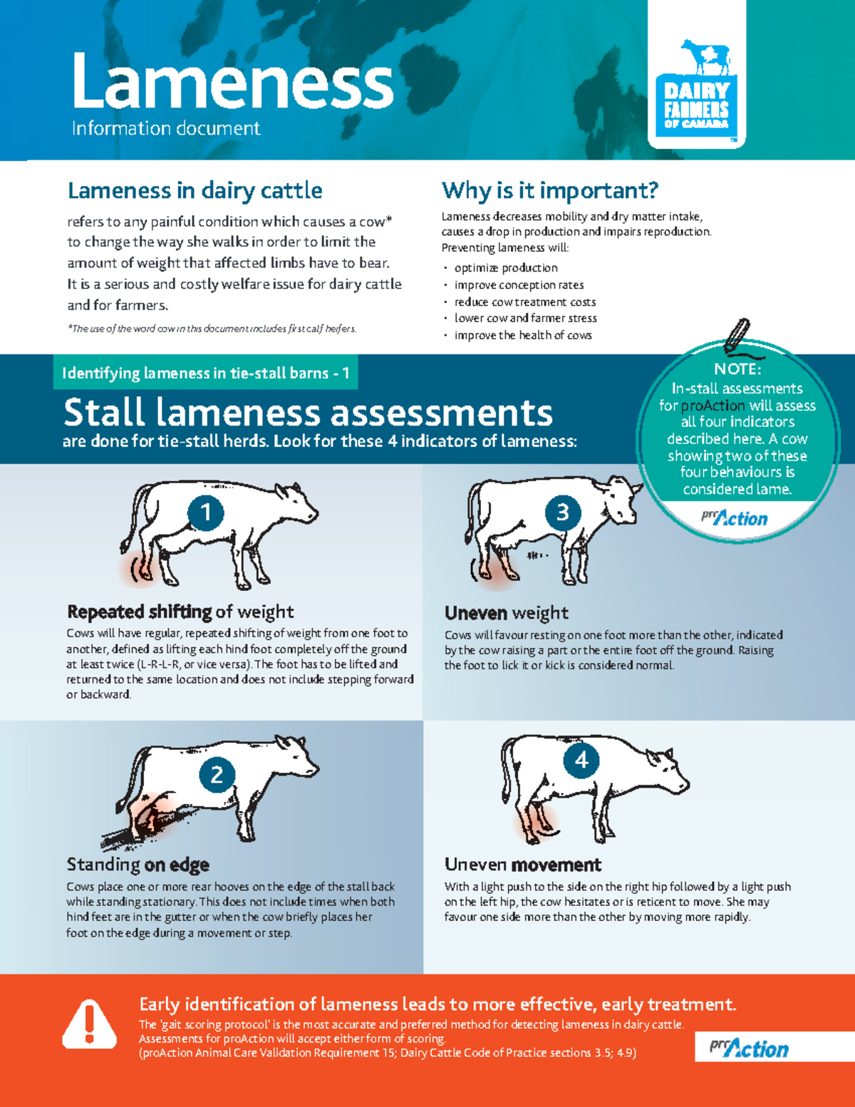 EN PLC lameness final-2017 - Lameness ####### Information document Lameness in dairy cattle ...