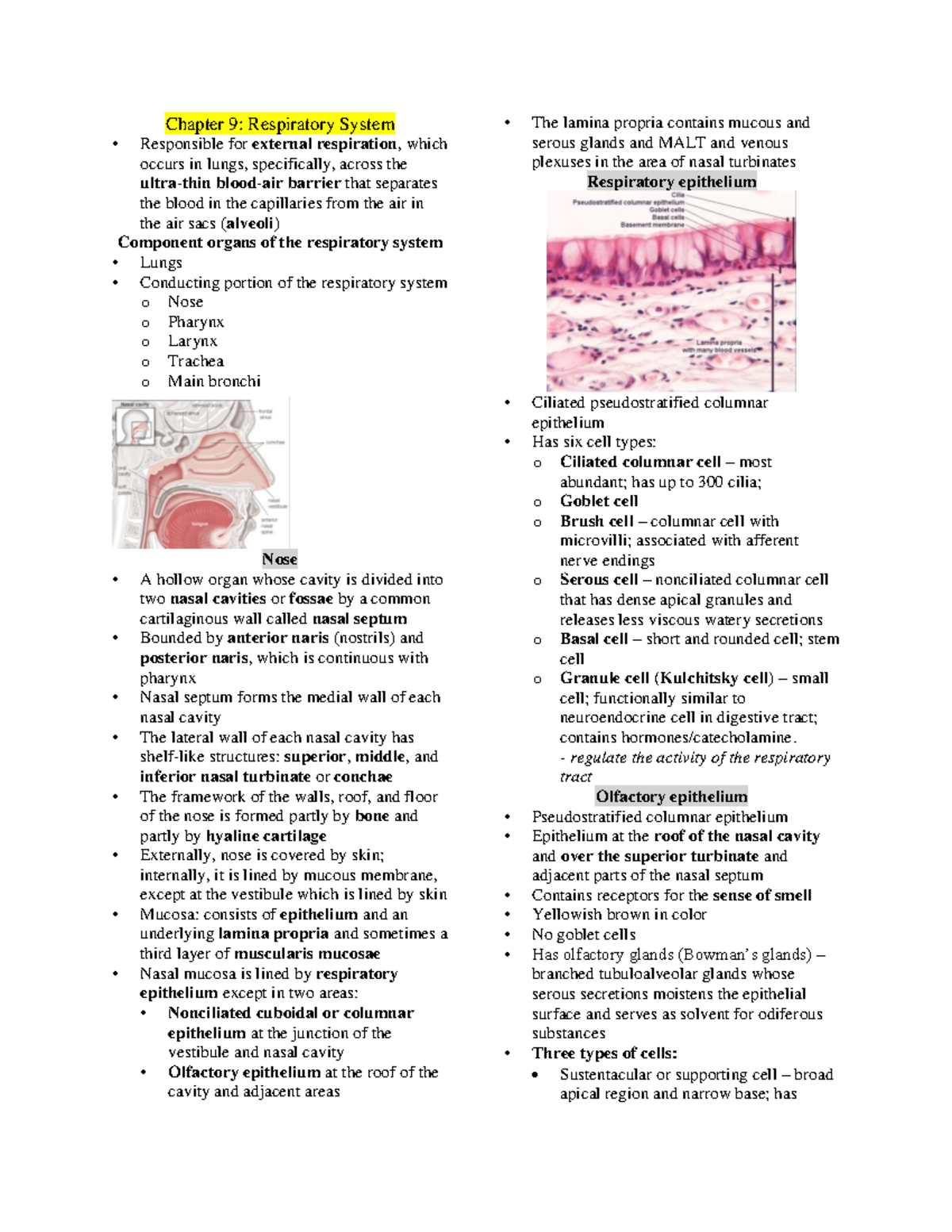 9 Respiratory System - Histology - Chapter 9: Respiratory System ...