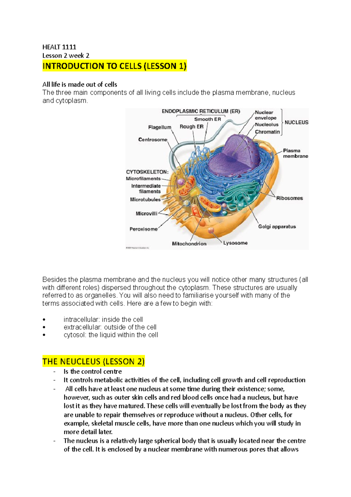 Notes Lesson 2 week 2 - HEALT 1111 Lesson 2 week 2 INTRODUCTION TO ...