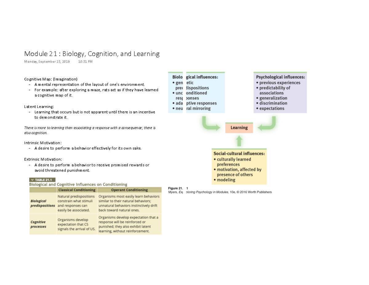 Module 21 - Kristy Huntley - Introduction to Psychology : PSYC 1111 ...