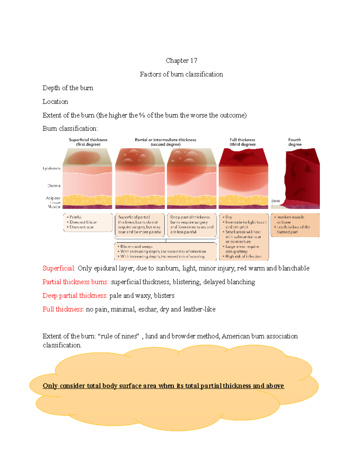 Burns Adult Health NUR 440 - Chapter 17 Factors of burn classification ...