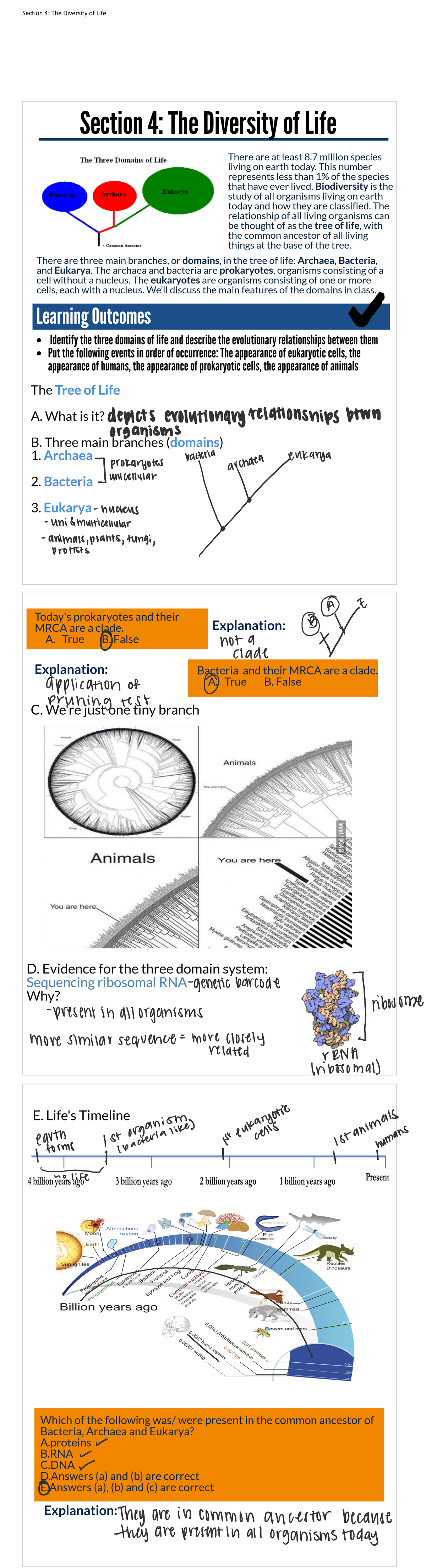 Section 4 The Diversity of Life - BIO148 - Section 4: The Diversity of ...