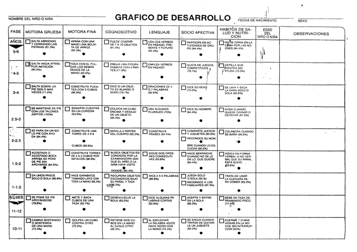 Gráfico Escala EDIN con Años y Meses - NOMBRE DEL NIÑO o NIÑA GRAFICO ...
