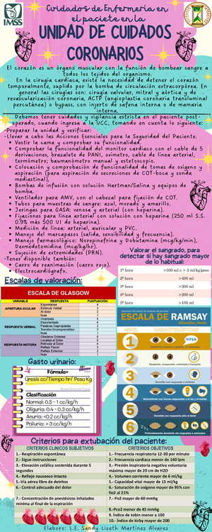 Formatos Place - formato editable - Plan de Cuidados de Enfermería ...