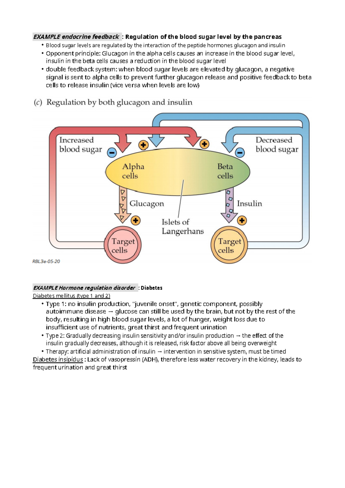 Biological Psychology - Hormones and behavior (part 2) - EXAMPLE ...