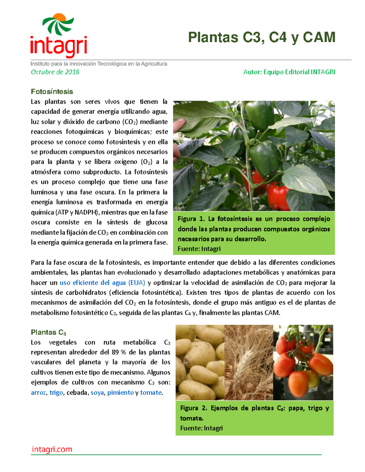 125.-Plantas-C3-C4-y-CAM 2021 - Plantas C3, C4 y CAM Octubre de 2018 ...