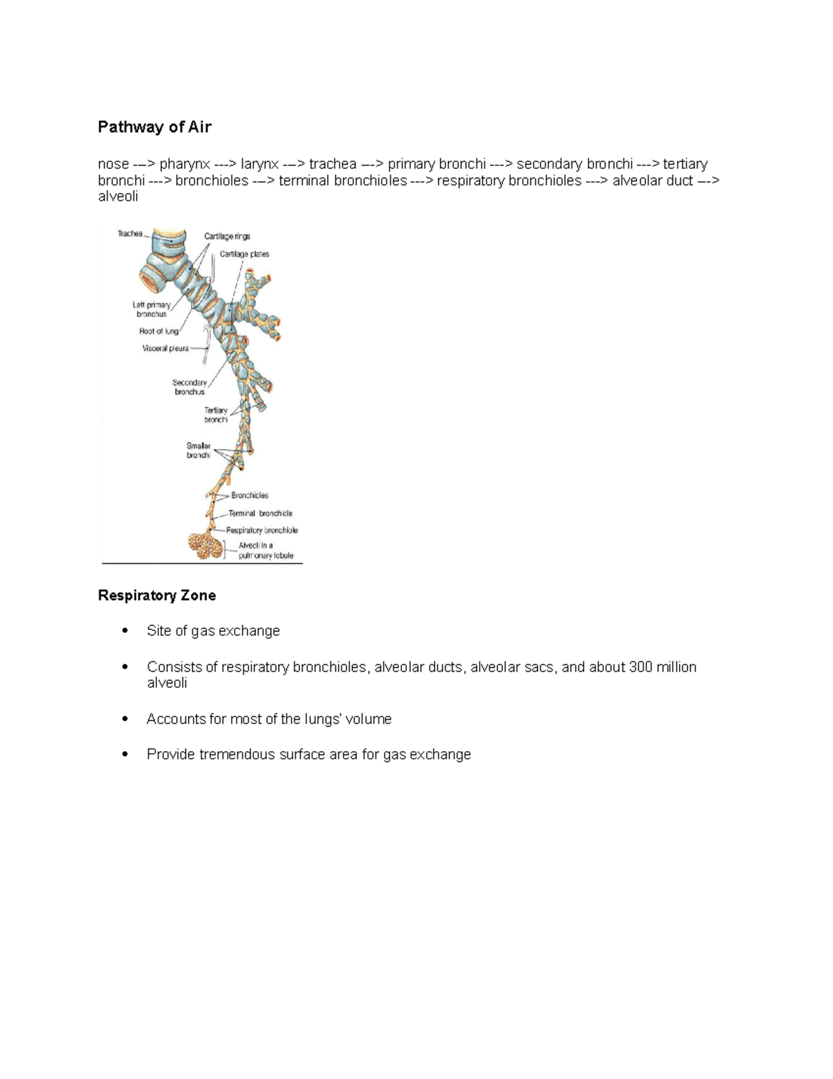 Flow of respiration - Pathway of Air nose -> pharynx -> larynx ...