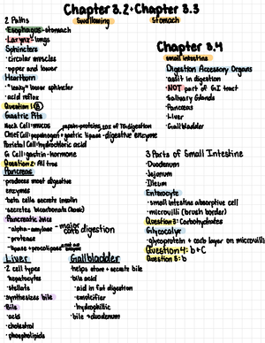 Chapter 2 - Notes from lecture videos and questions - Chapter 2 Amino ...