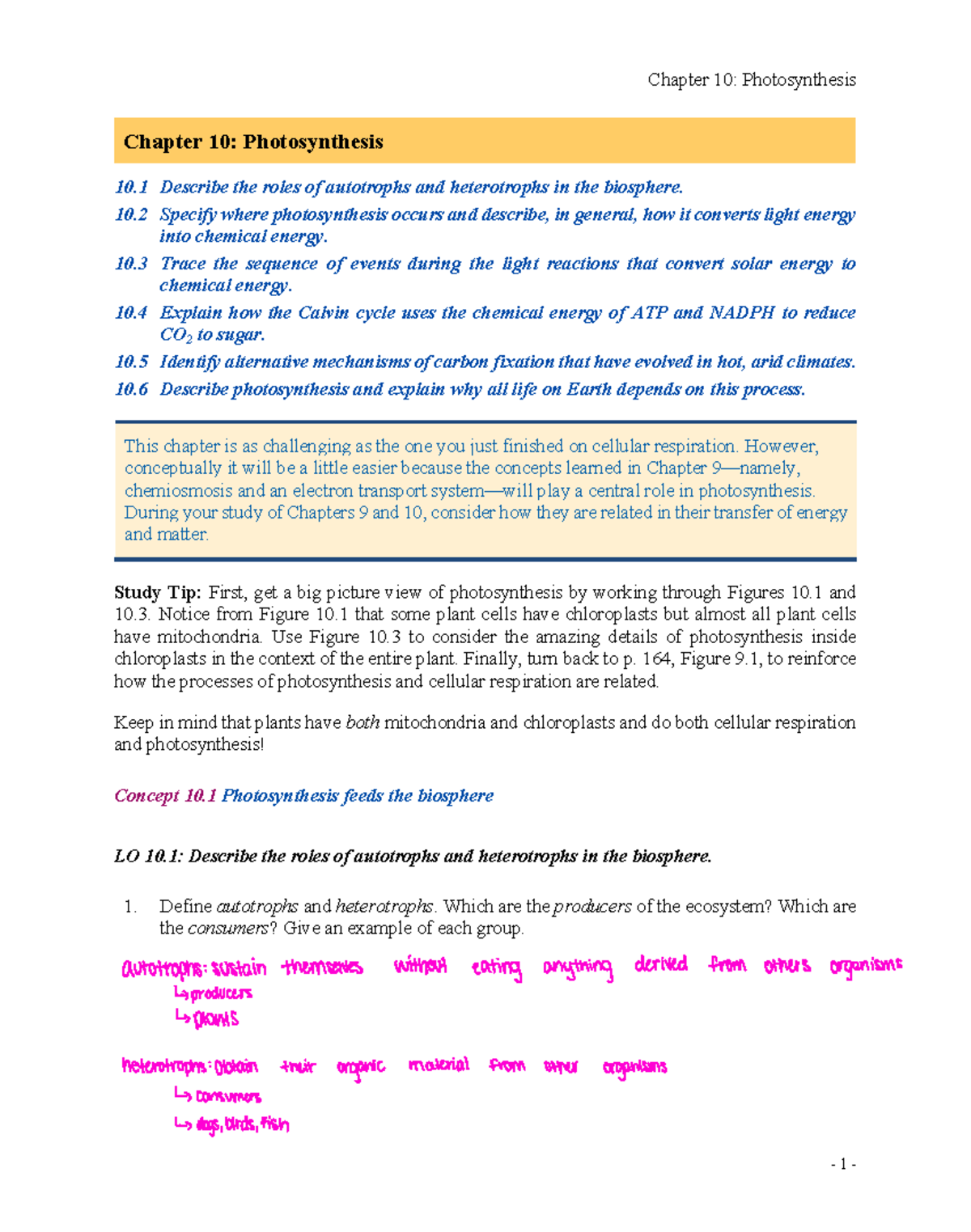 Active+Reading+Notes 10++Short - Chapter 10: Photosynthesis 10 Describe ...