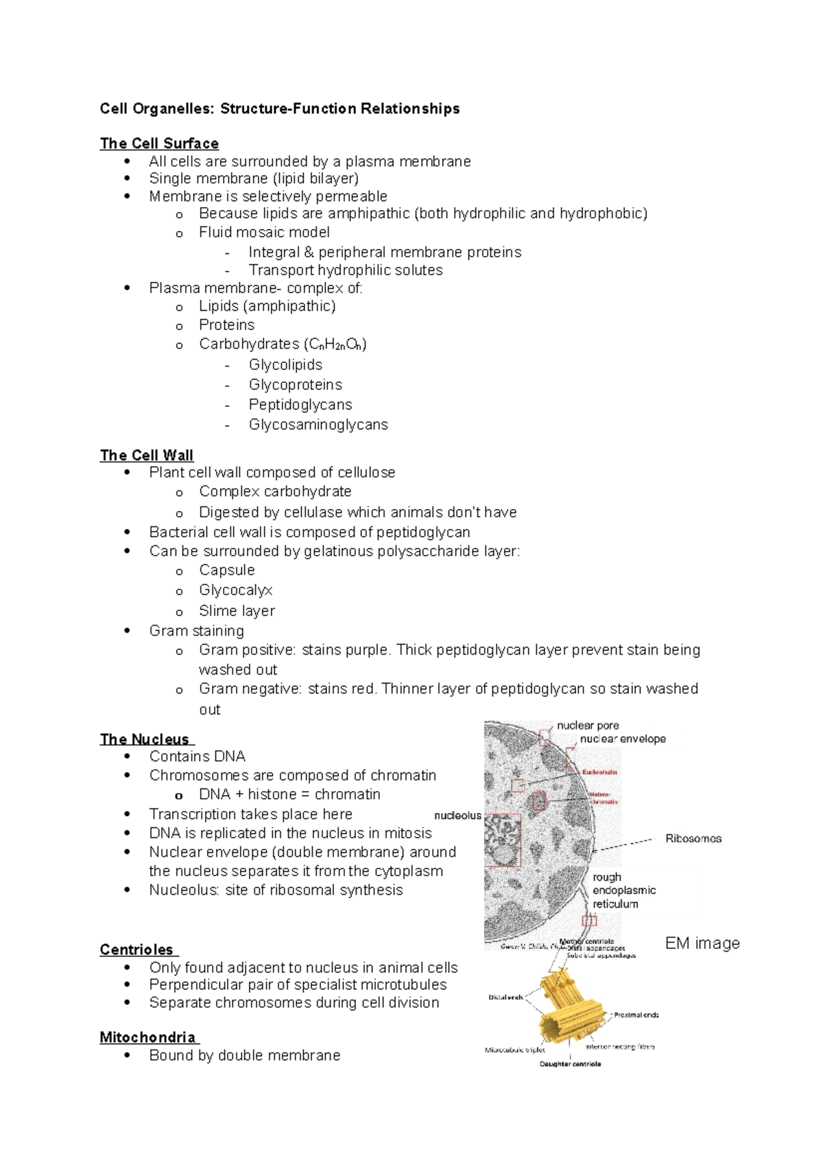 L5&6 Cell Organelles - Lecture notes 5-6 - Cell Organelles: Structure ...
