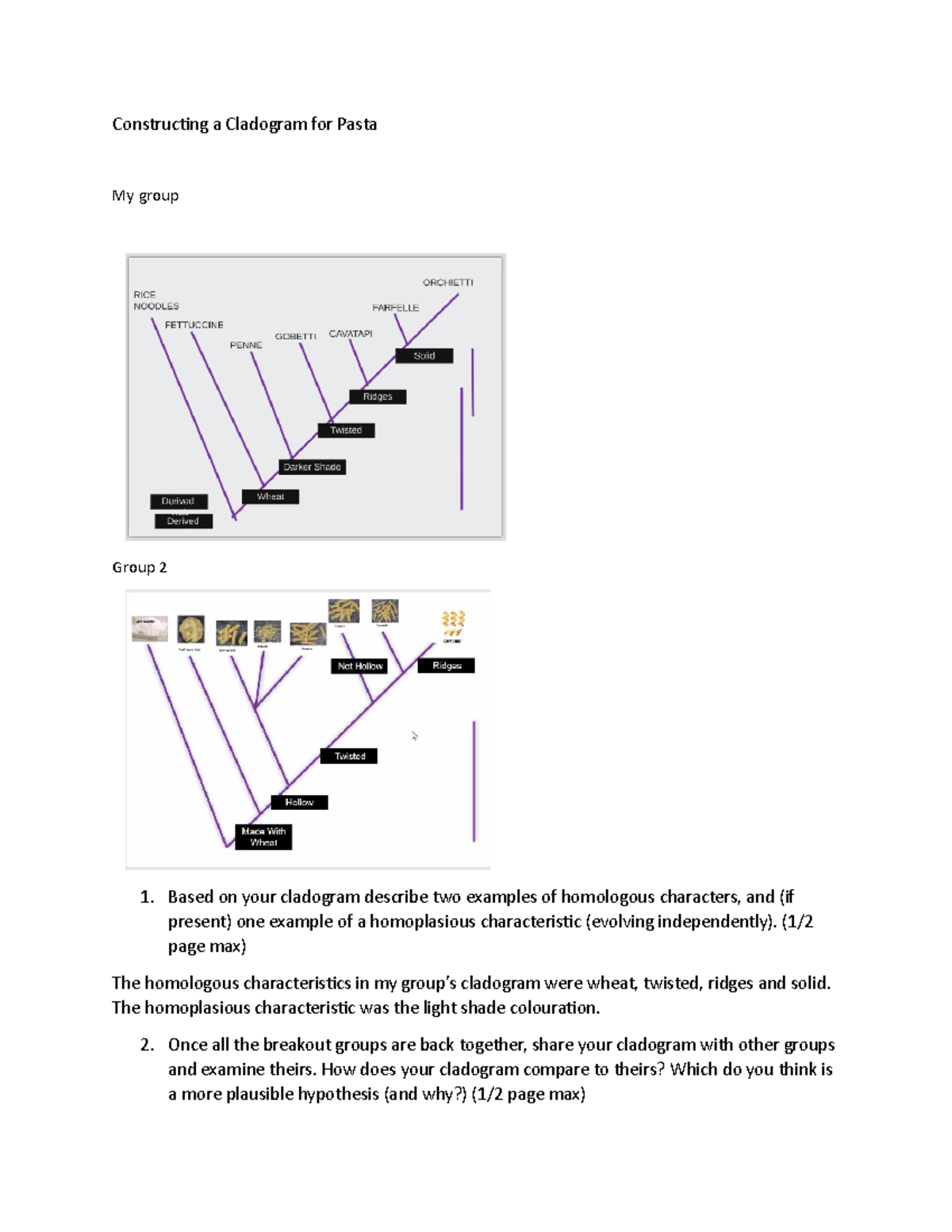 Tutorial 3- inclass assignment - Constructing a Cladogram for Pasta My ...