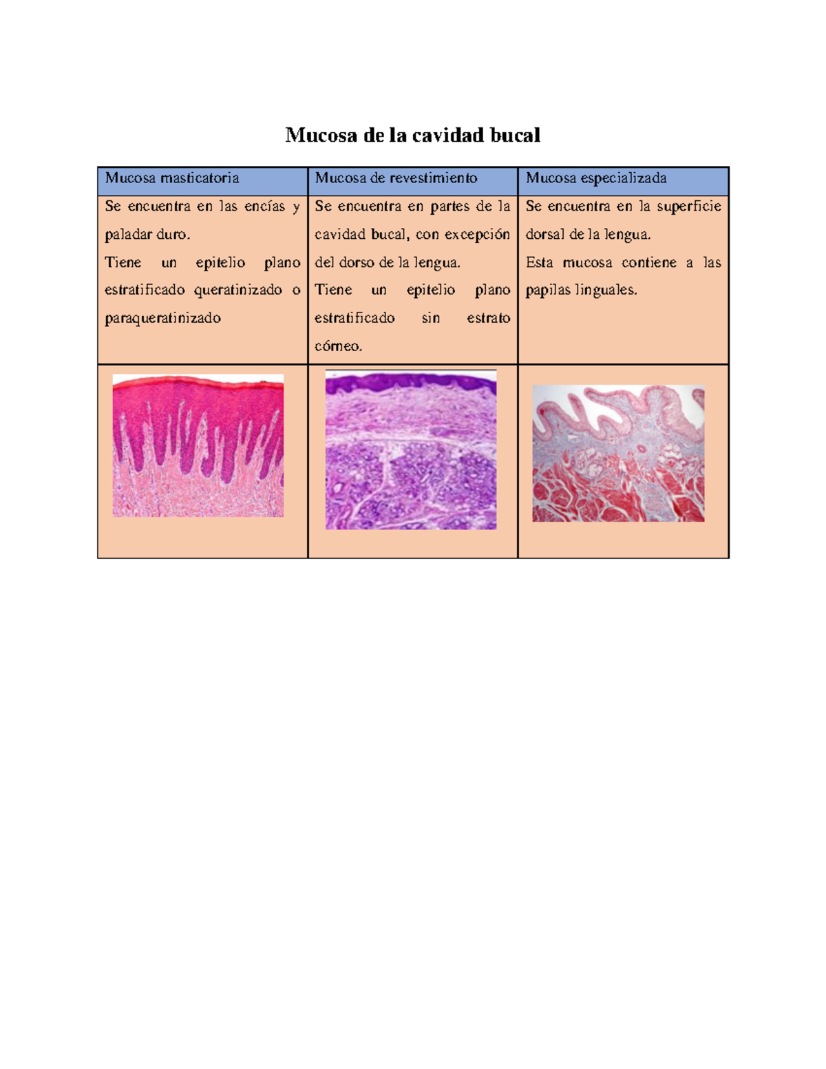 Mucosa de la cavidad bucal 1 - Mucosa de la cavidad bucal Mucosa ...