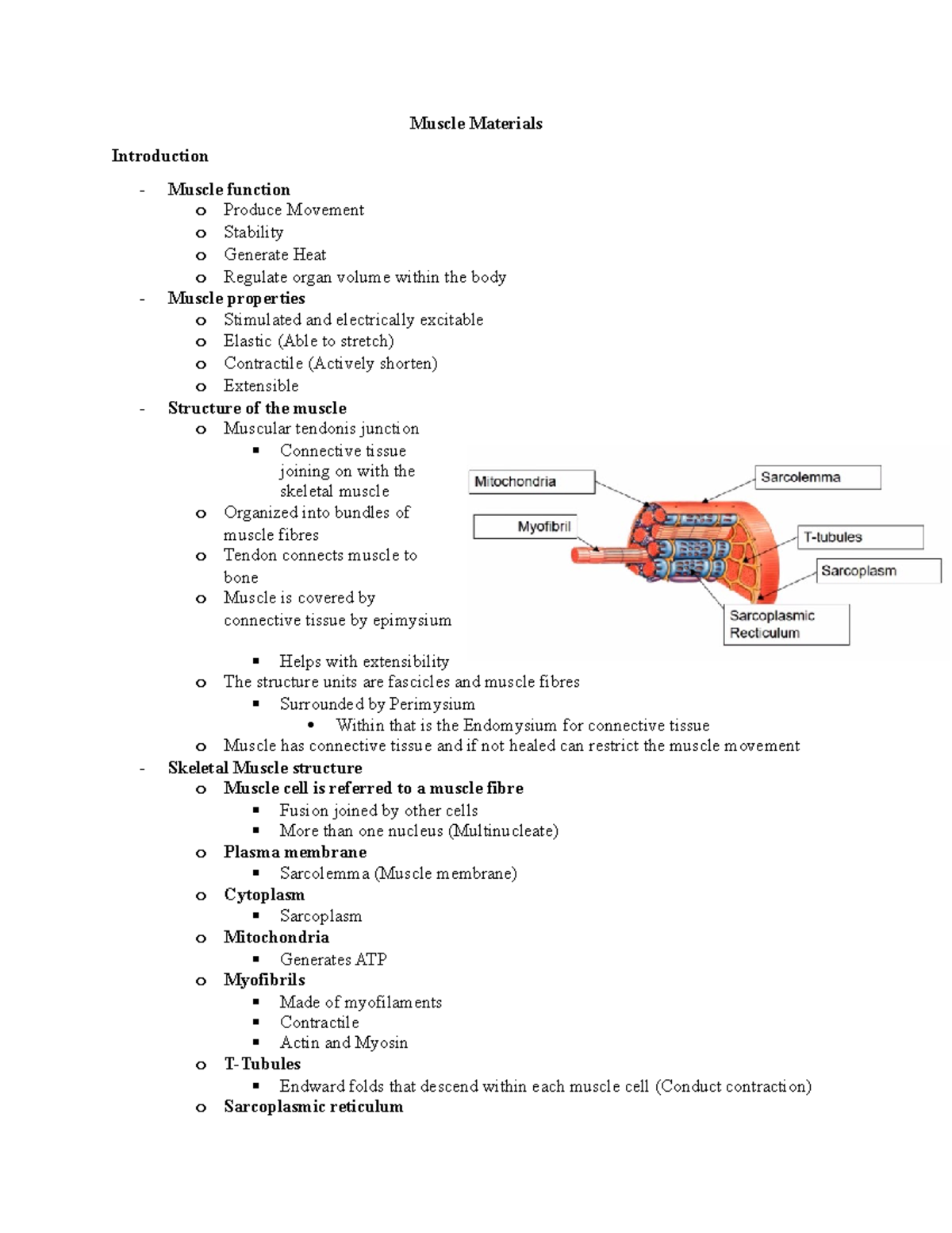 Muscle Materials - Lecture notes 8 - Muscle Materials Introduction ...