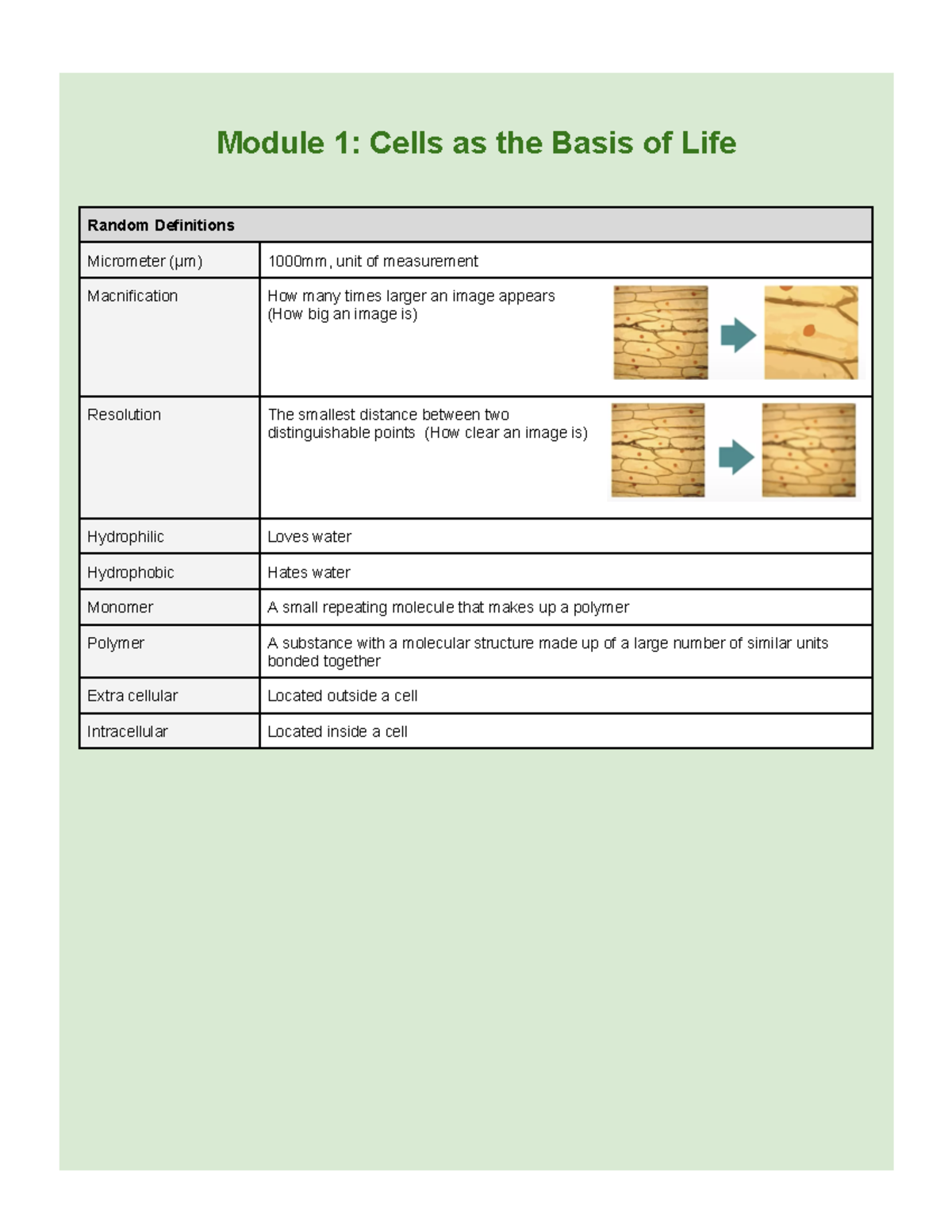 Yr11 Bio Notes - Google Docs (dragged) 3 - Module 1: Cells as the Basis ...