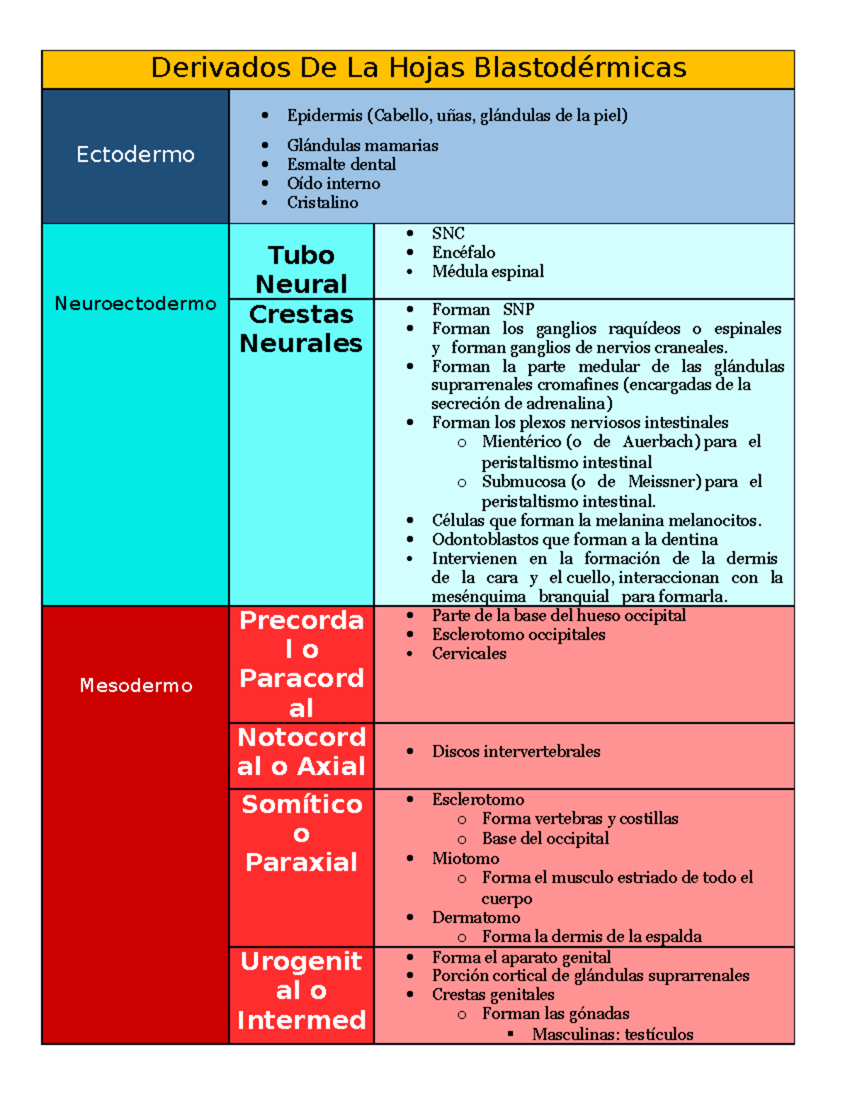 Derivados De La Hojas Blastodérmicas - Derivados De La Hojas ...