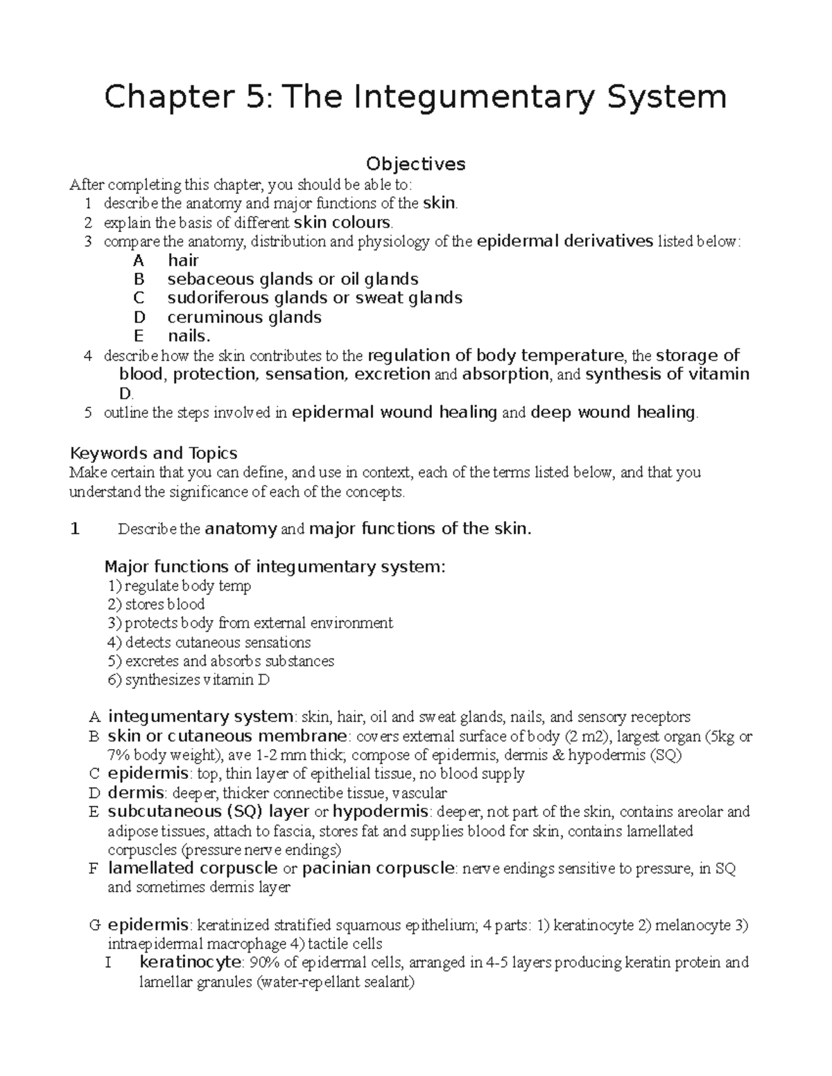 Bio chap 5 notes - Chapter 5: The Integumentary System Objectives After ...