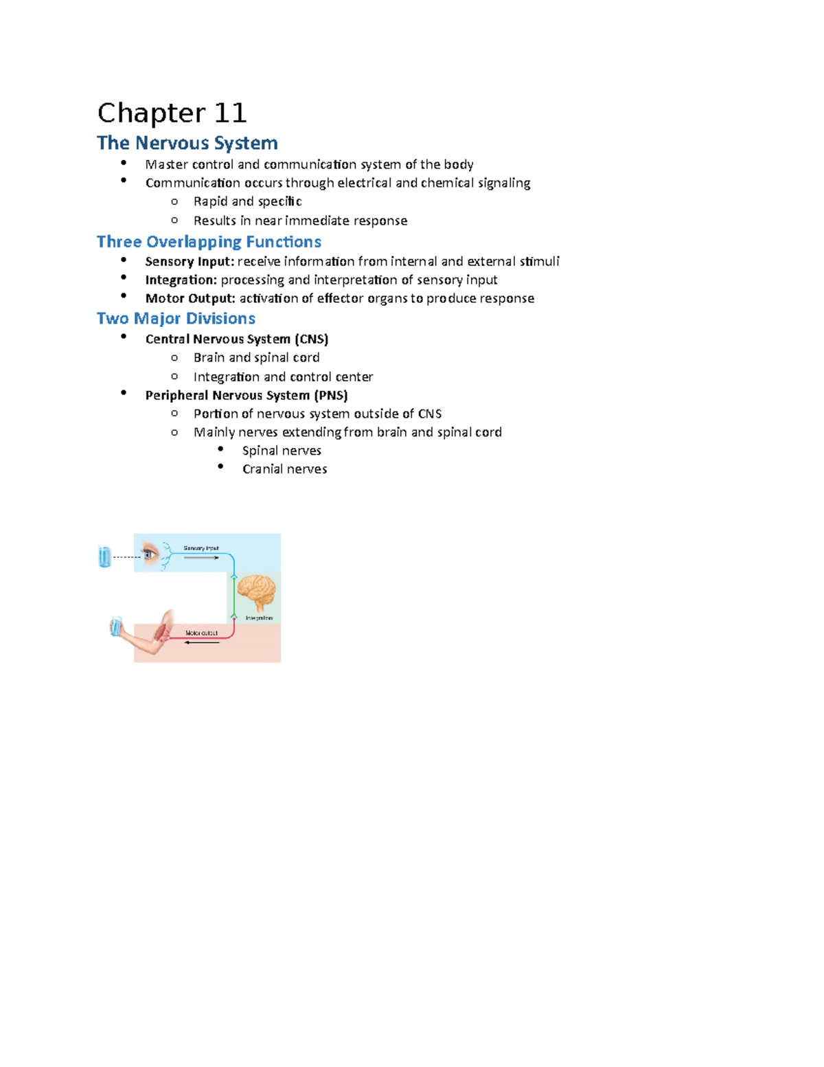 Chapter 11 Bio 208 - The nervous system - Chapter 11 The Nervous System Master control and - Studocu