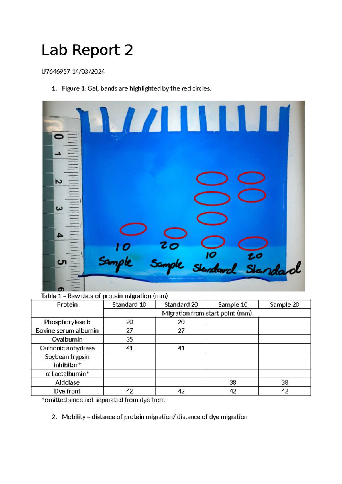 Lab report 2 - Lab Report 2 U7646957 14/03/ 1. Figure 1: Gel, bands are ...