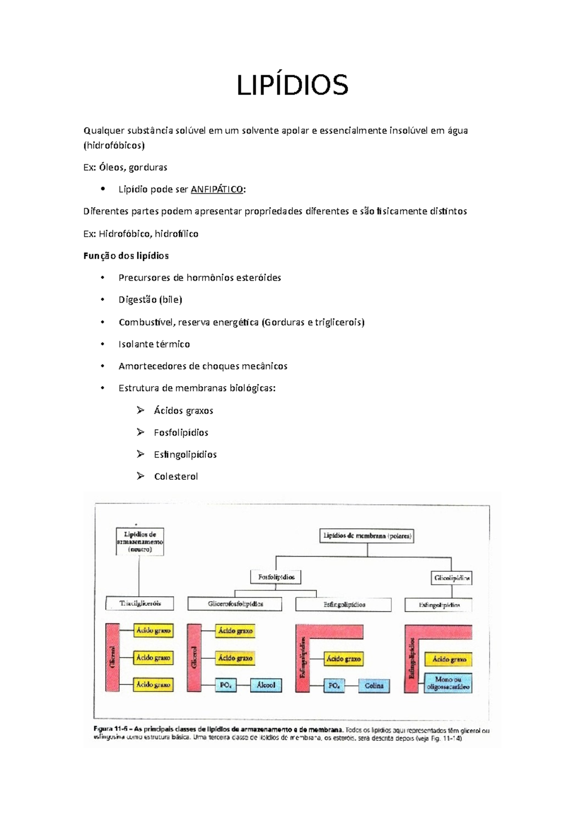 Resumo lipídios - LIPÍDIOS Qualquer substância solúvel em um solvente ...