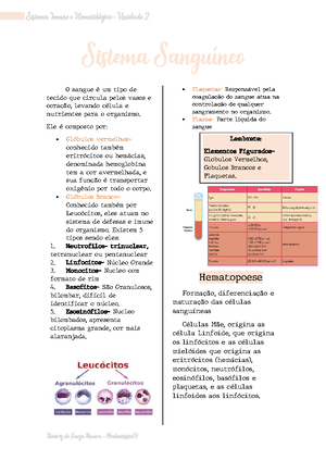Poiquilocitos - CLASSIFICAÇÃO DO CHCM CONCENTRAÇÃO DE HEMOGLOBINA ...