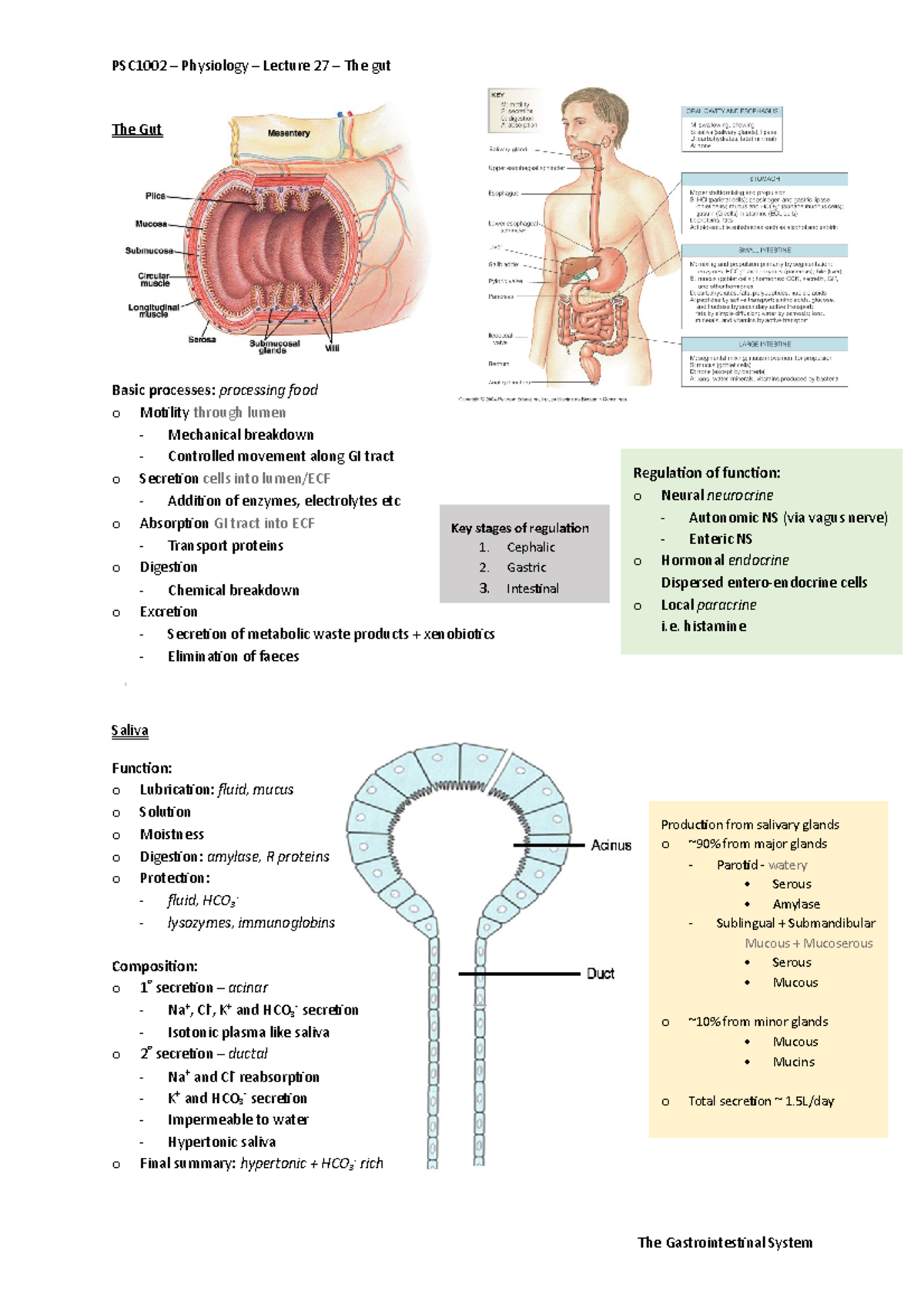 PSC1002:L27 - Lecture notes 27 - PSC1002 – Physiology – Lecture 27 ...