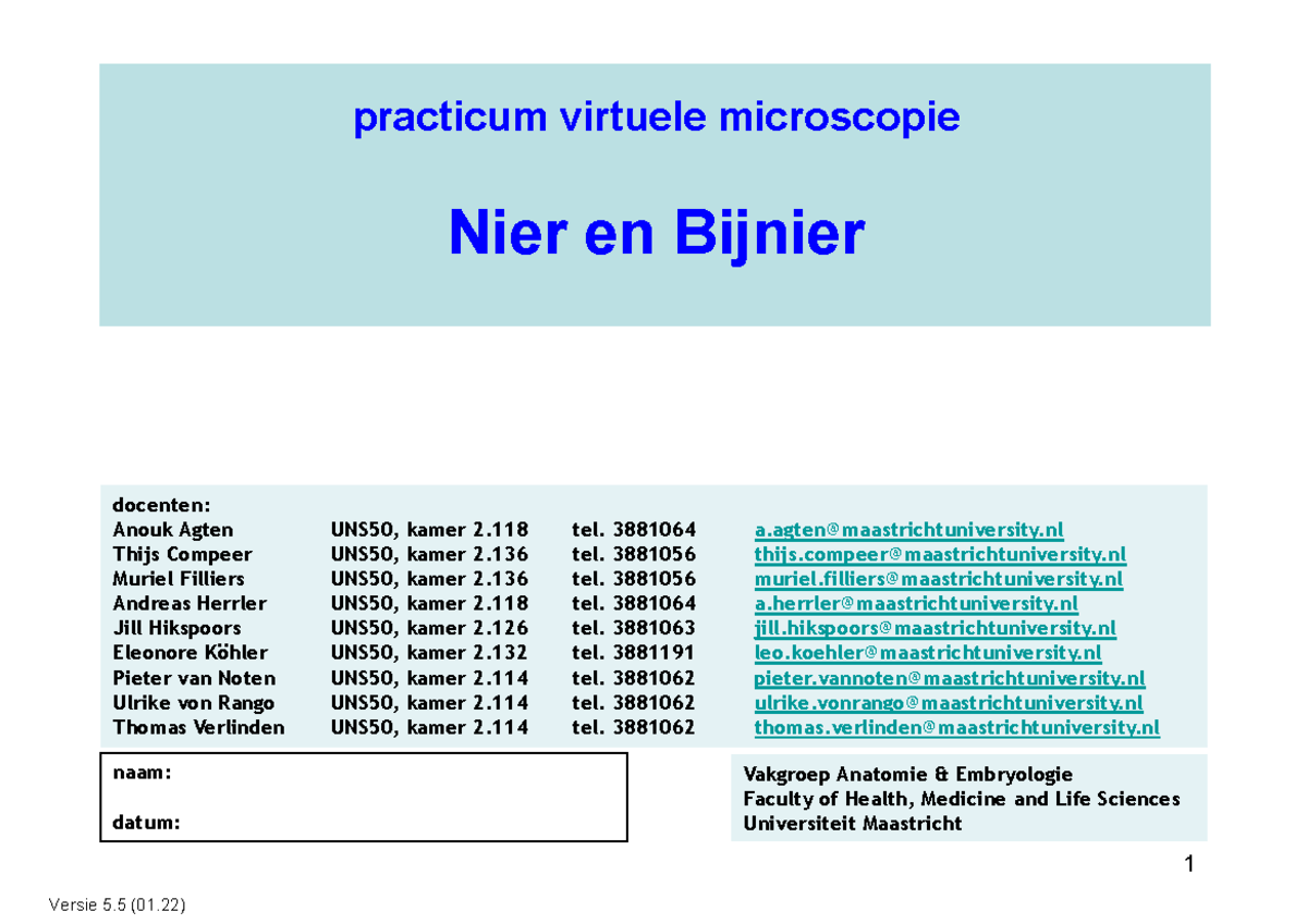 VM nier en bijnier - 1 practicum virtuele microscopie Nier en Bijnier ...