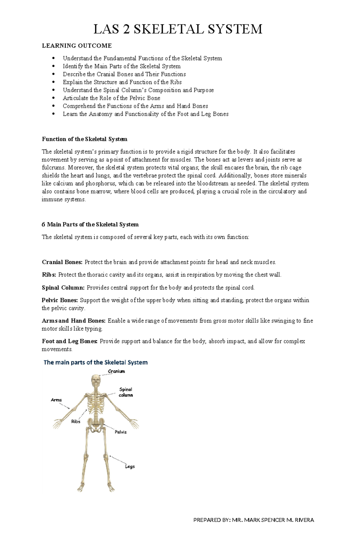 LAS 2 Skeletal System - LEARNING OUTCOME Understand the Fundamental ...