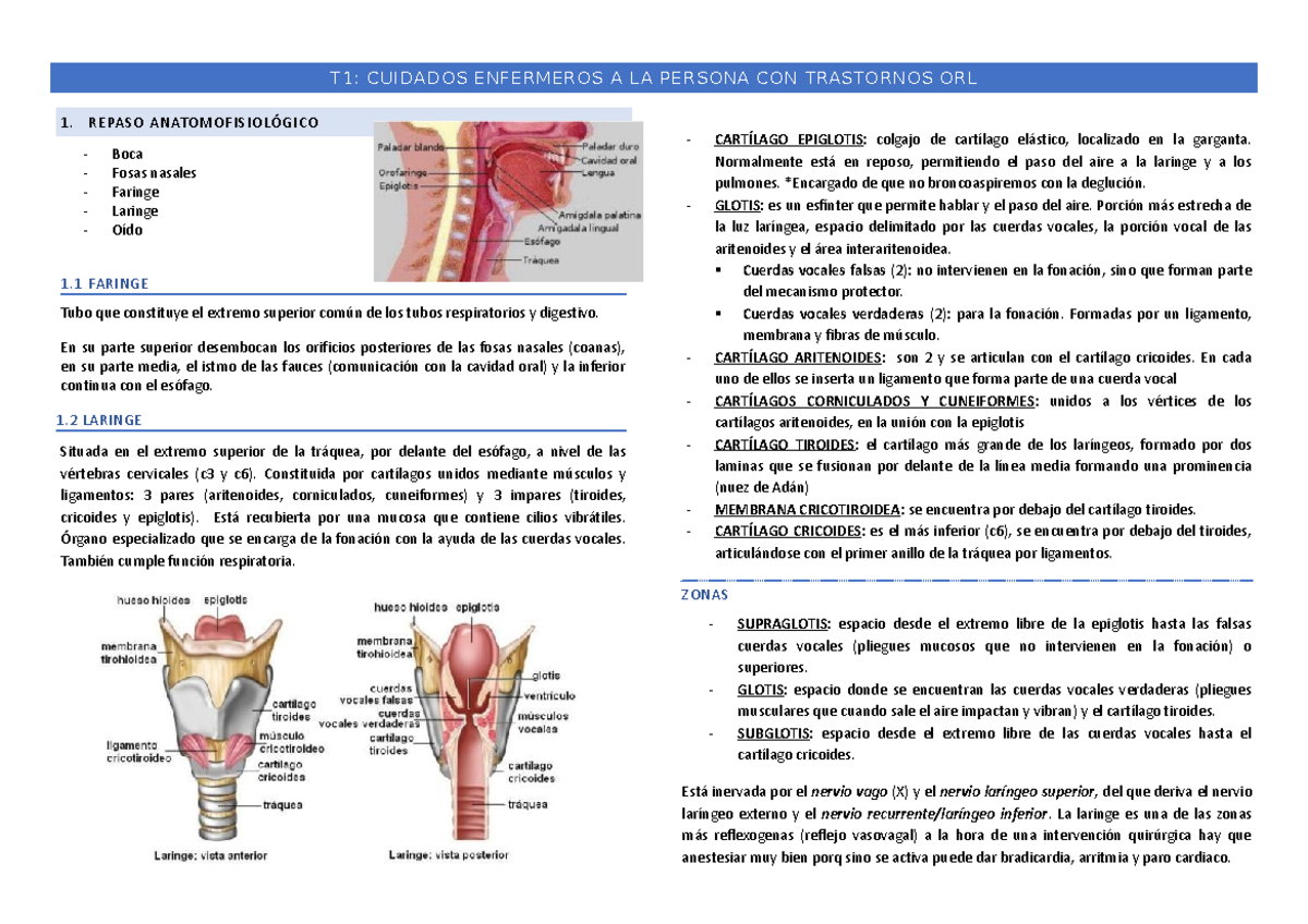 T1 o RL def - orl - T1: CUIDADOS ENFERMEROS A LA PERSONA CON TRASTORNOS ...