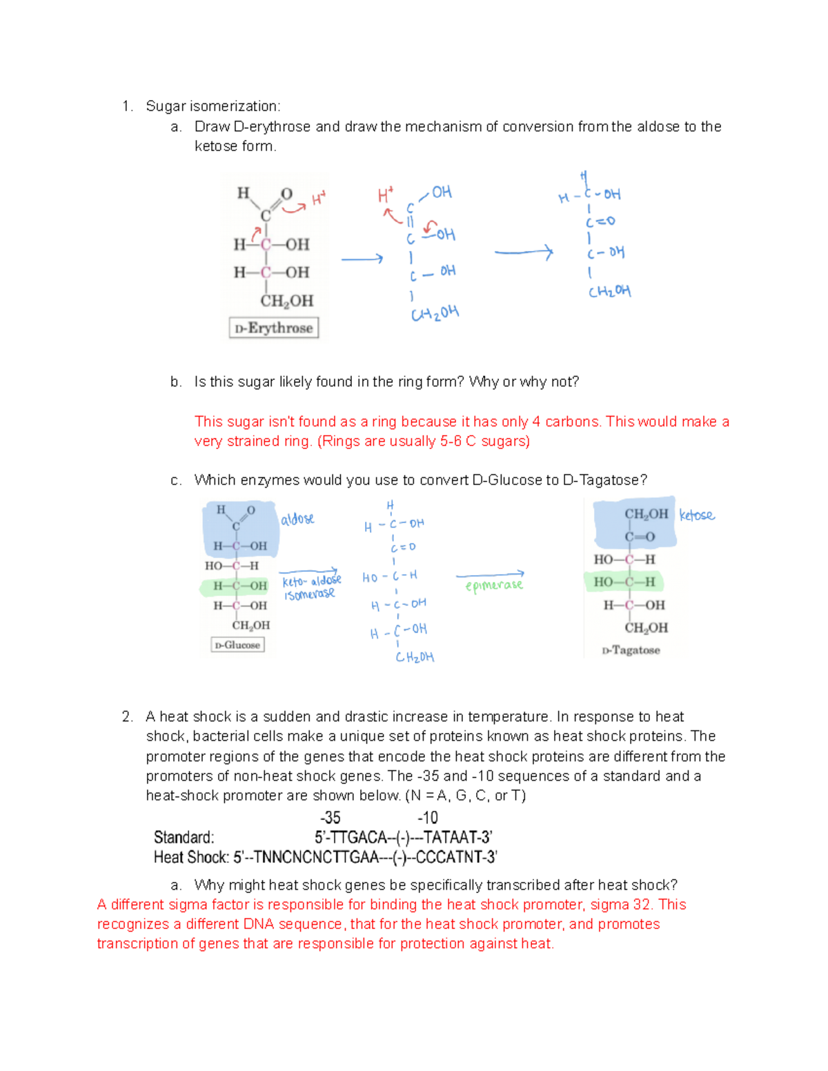 Summary Notes Problem Set 6 - Sugar isomerization: a. Draw D-erythrose ...