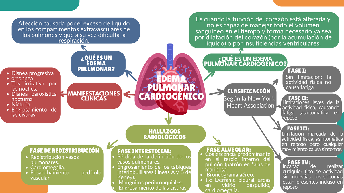 Mapa edema pulmonar cardiogenico - DECREASE EDEMA PULMONAR CARDIOGÉNICO ...