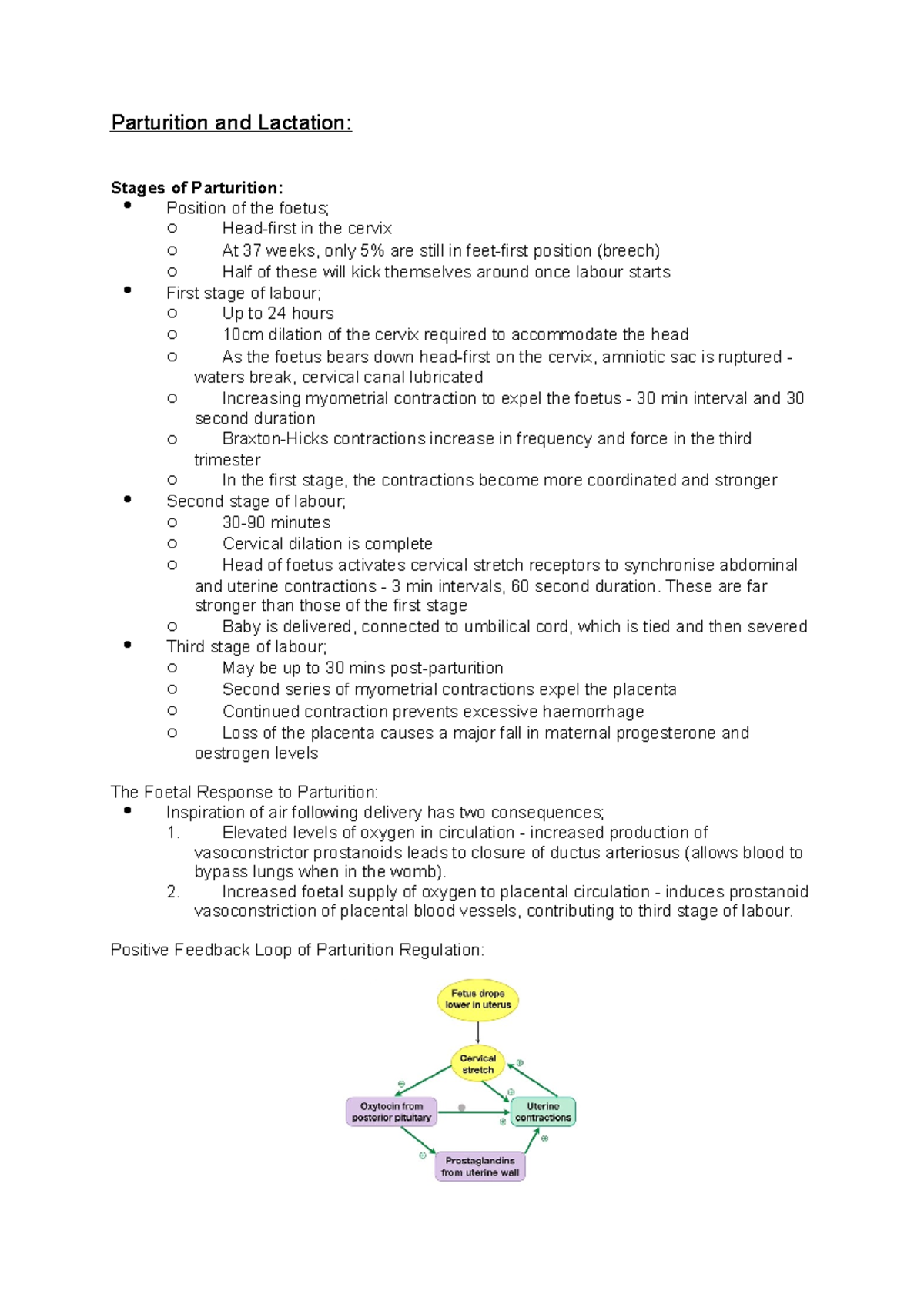 Parturition and Lactation - Parturition and Lactation: Stages of ...