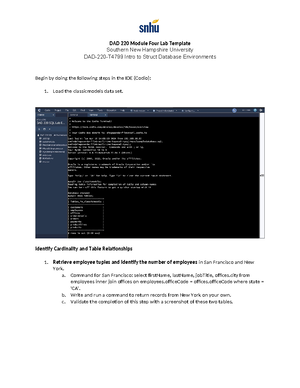 DAD 220 Module 2 - Module Two Lab Southern New Hampshire University DAD ...
