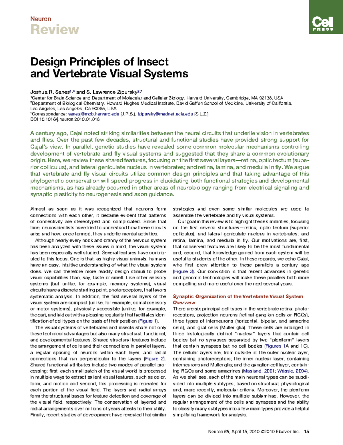 Design Principles of Insect and Vertebrate Visual Systems - Review ...