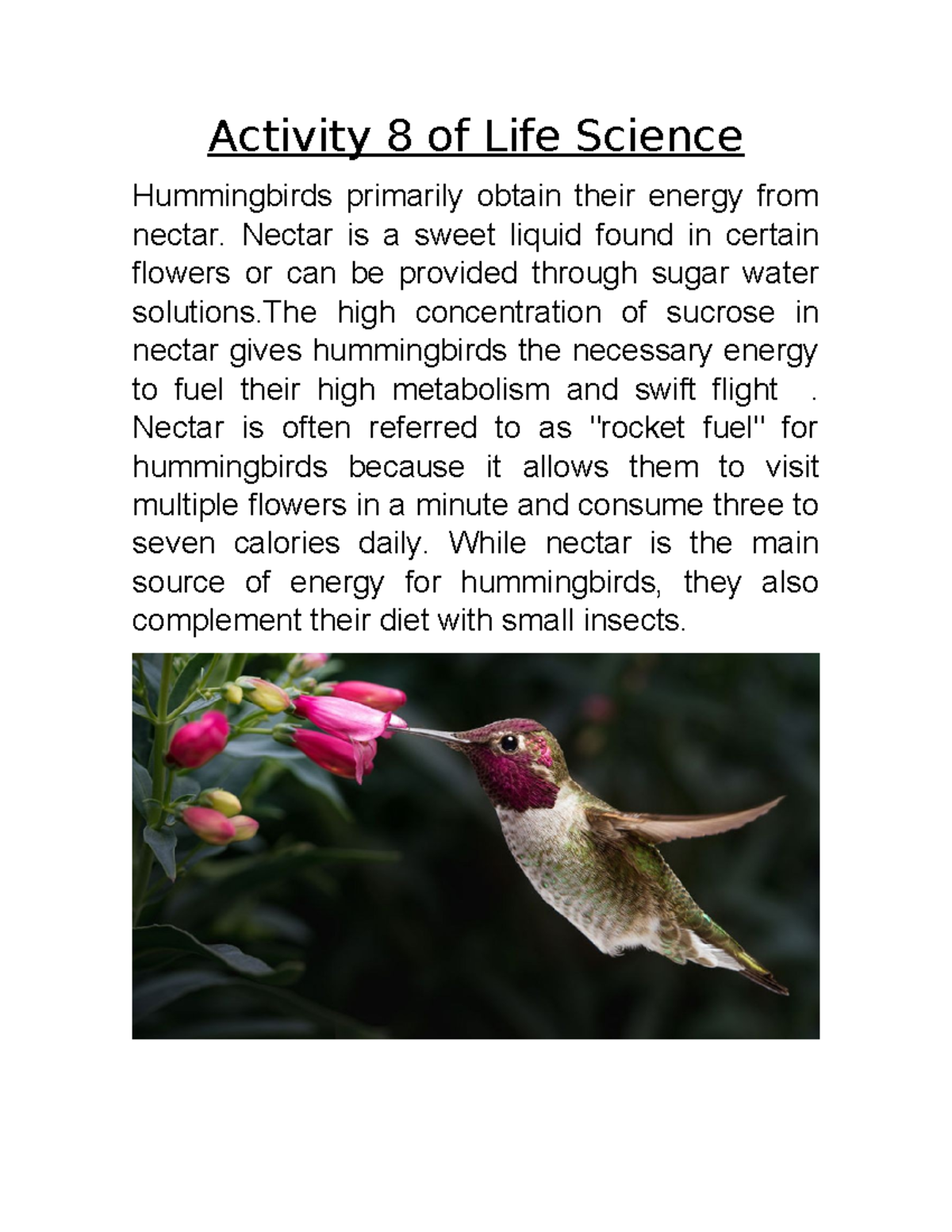 Activity 8 of Life Science first part - Activity 8 of Life Science ...
