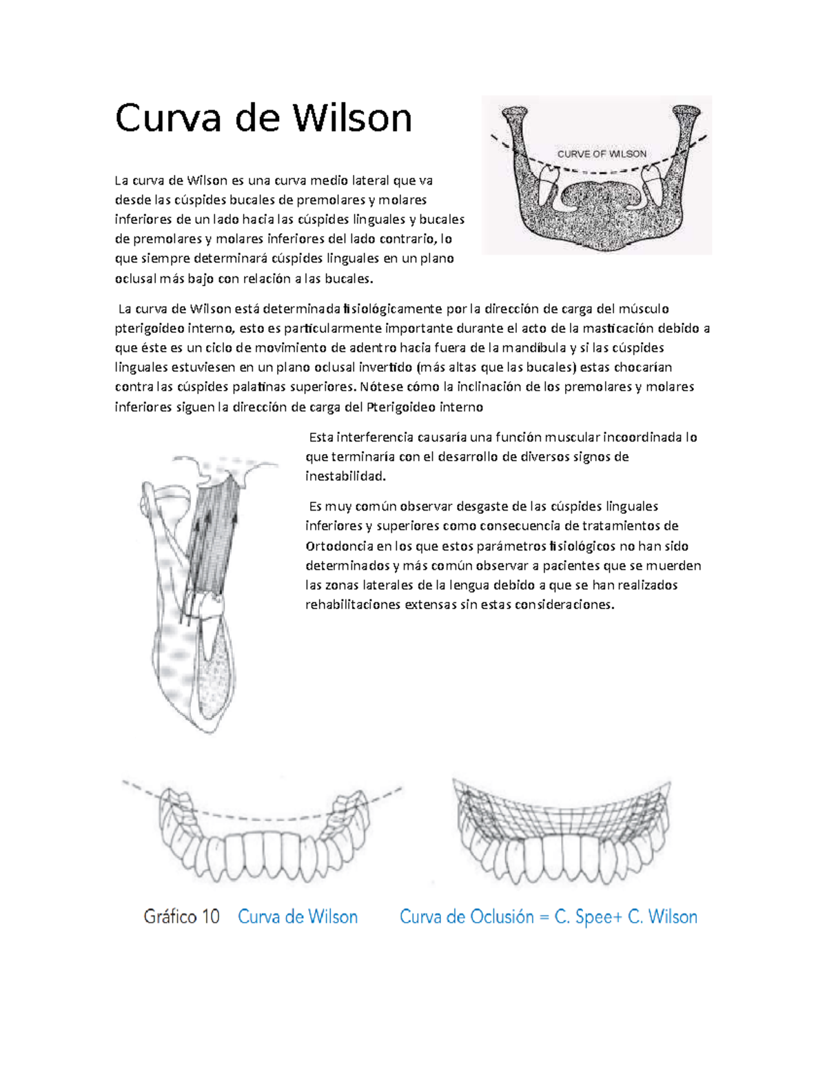Curva de Wilson - La curva de Wilson está determinada fisiológicamente ...