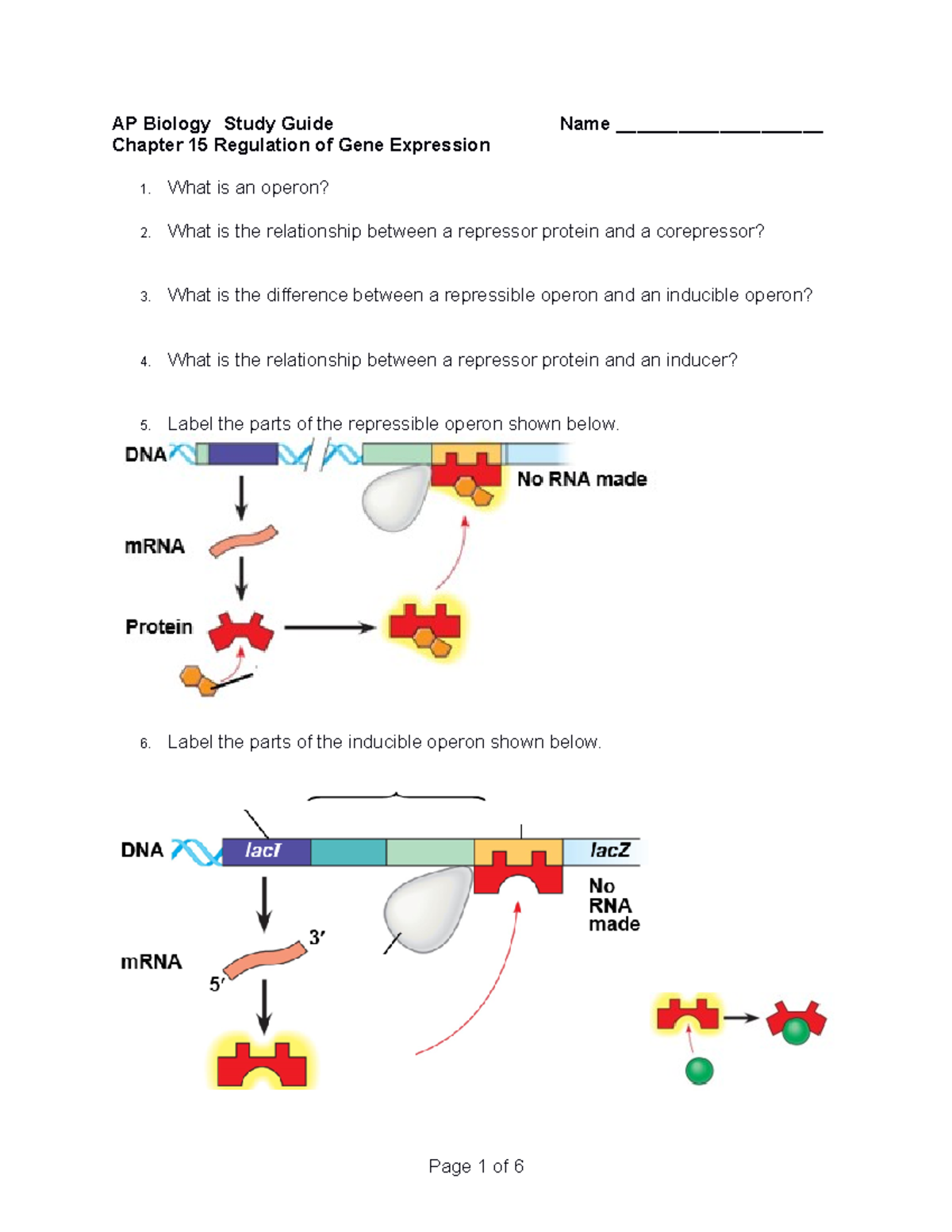 Study Guide - Ch 15 - Control of Gene Expression - AP Biology Study ...