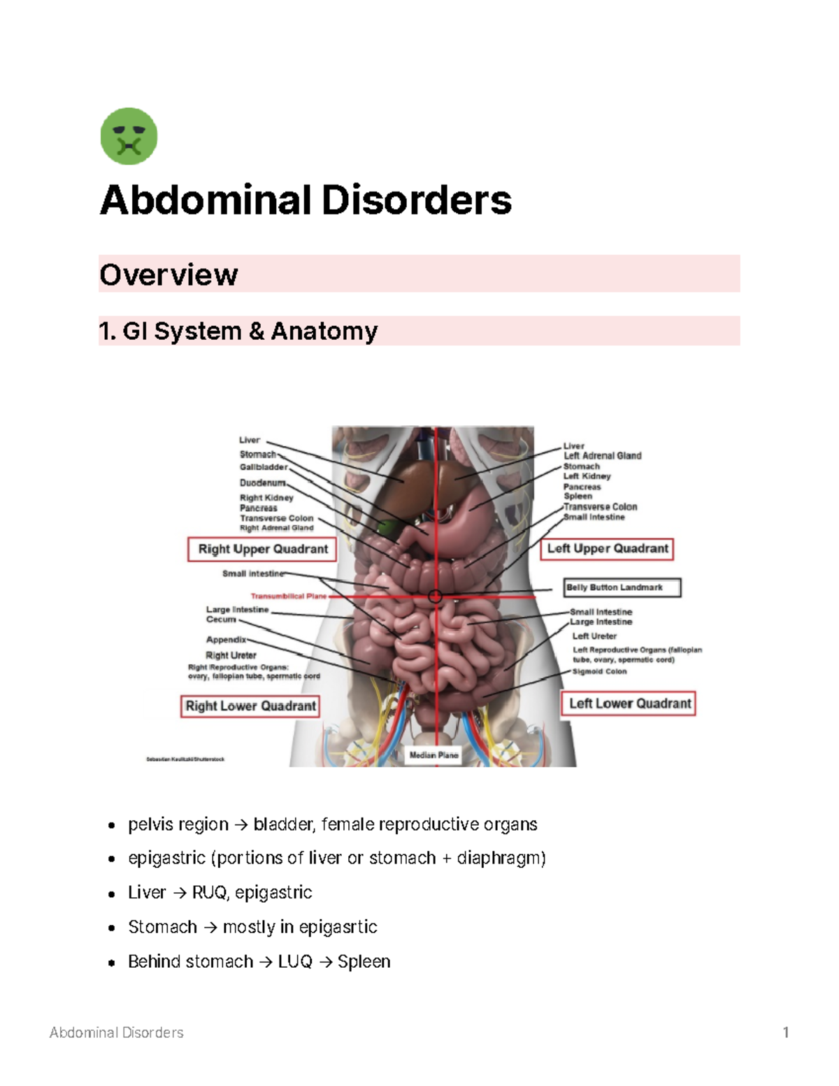 Abdominal Disorders - Heavy on Lecture Notes. - Abdominal Disorders Ԇ ...
