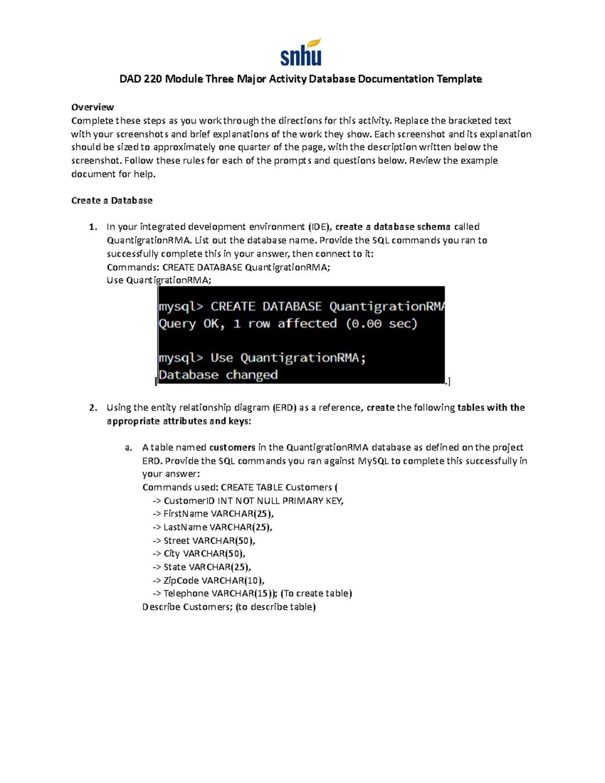 DAD 220 Module Three Major Activity Database Documentation - Replace the bracketed text with ...